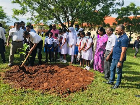 75 වන නිදහස් සැමරුම වෙනුවෙන් නාගරික සංවර්ධන අධිකාරිය විසින් සංවිධානය කළ රුක් රෝපණ වැඩසටහන