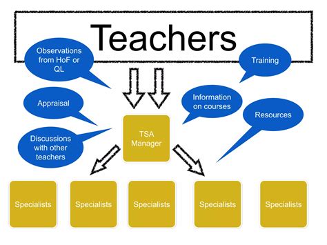 Structure Of Tsa Ppt Structure Of Tsa Ppt