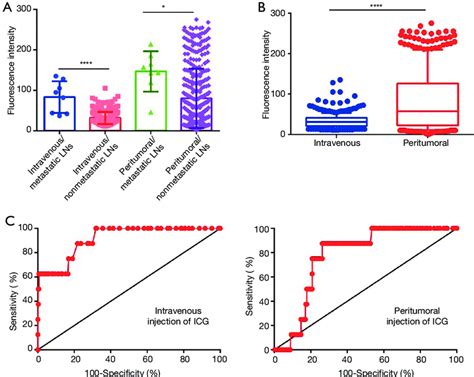 Intravenous Injection Diagram
