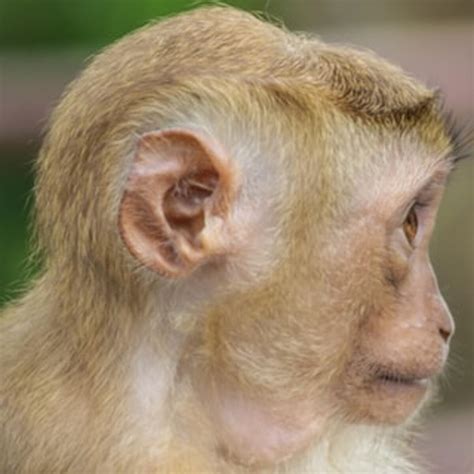 Intruder Detection Kaggle