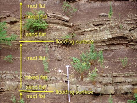 An Online Guide To Sequence Stratigraphy