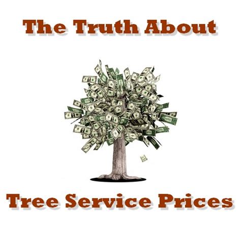 The Truth About Tree Service Prices Precision Tree Landscape