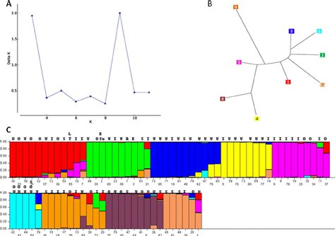 Population Structure Analysis Using Structure 240 A Deter Mination
