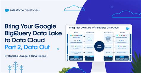 Data Cloud Salesforce Developer Center