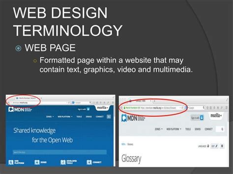 Basic Web Concept Ppt