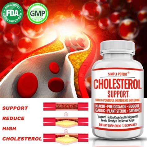 Cholesterol Support Supplement L Supports Healthy Cholesterol And Triglyceride Levels Already