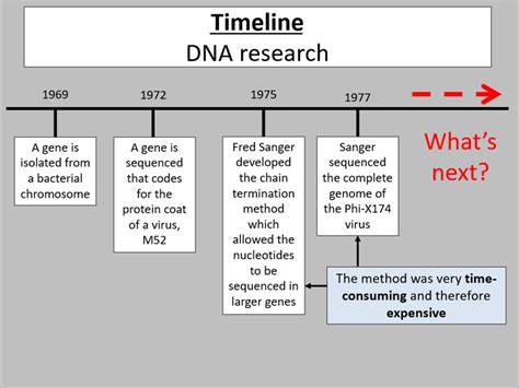 Principles Of Dna Sequencing Ocr A Level Biology Teaching Resources