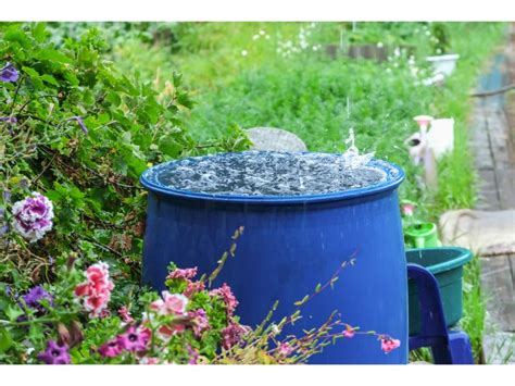 10 Best Rainwater Collection Systems For Sustainable Living