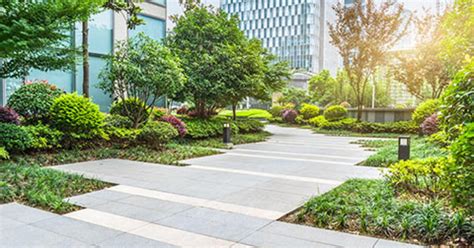 Net Zero Carbon Pathway Framework Better Buildings Partnership