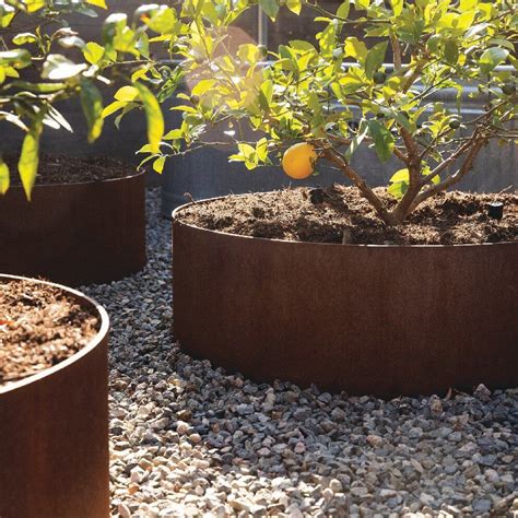 Corten Ring Planter Basal Corten Steel Planters Steel Planters Planters