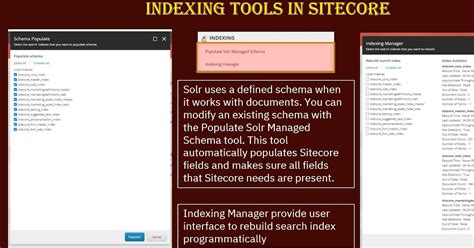 Sitecore Indexing Part 3 Indexing Tools In Sitecore Field Mapping