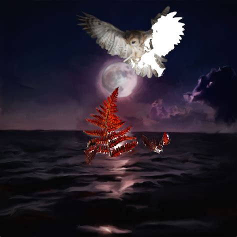 Composition Final Behance