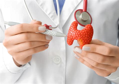 Thyroid Gland What It Is And How It Works Clariwell