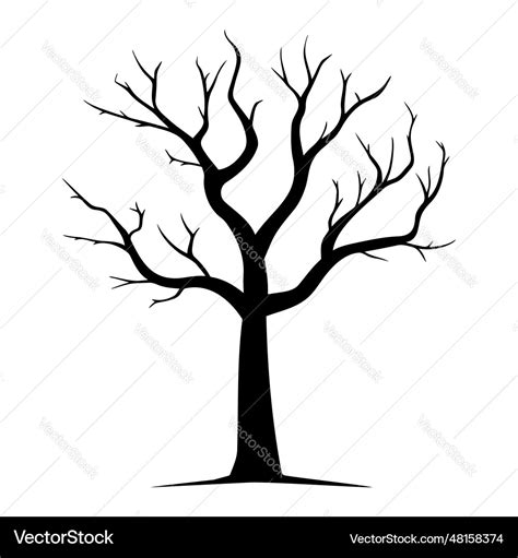 Tree Clipart Outline No Leaves 317 Drawing Of Tree Without Leaves