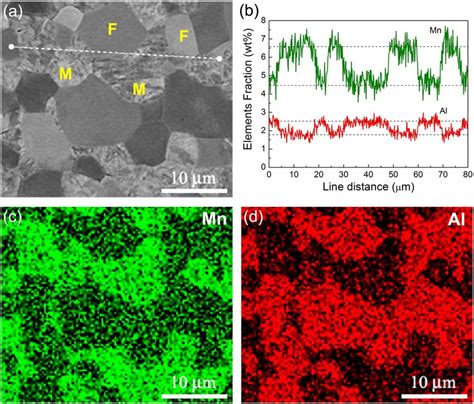 Partitioning Of Alloying Elements Between Ferrite And Martensite In The