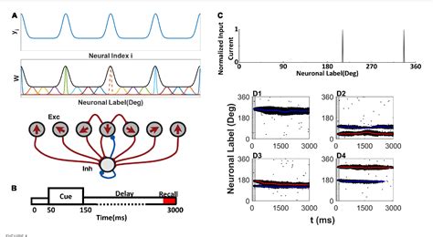 Figure 1 From A Spiking Network Model For Clustering Report In A Visual Working Memory Task