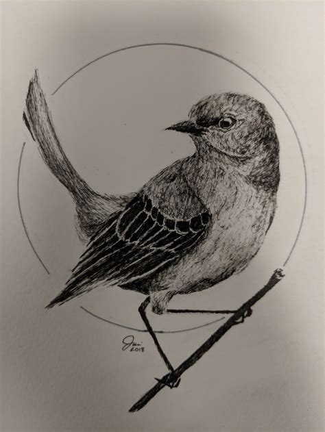 How To Draw Mockingbird Calendarinternal21