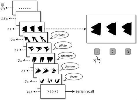 Schematic Representation Of The Experimental Procedure In The Polygon Download Scientific