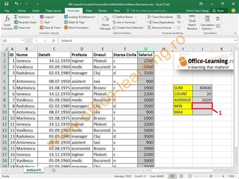 Microsoft Excel Capitolul 7 Formule Si Functii IT Learning