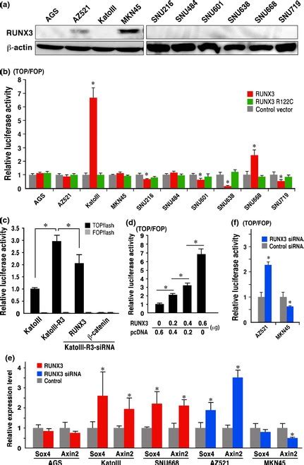 Runx3 Induced Wnt Signaling Activation A Western Blotting Of The