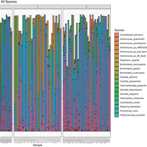 Relative Abundance Plot Of The Top 40 Species Observed The 40 Species Download Scientific