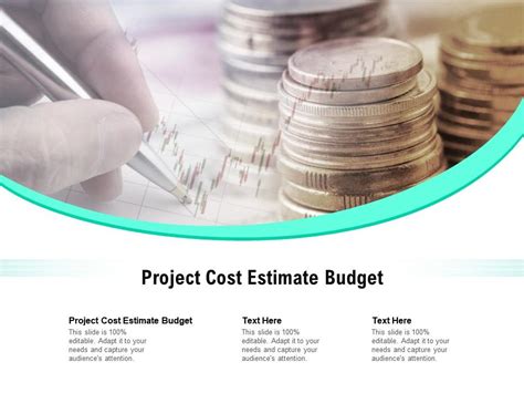 Project Cost Estimate Budget Ppt Powerpoint Presentation Show Sample Cpb Presentation Graphics