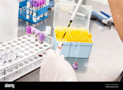 Scientist Preparing Bone Marrow Samples For Flow Cytometric Analysis In