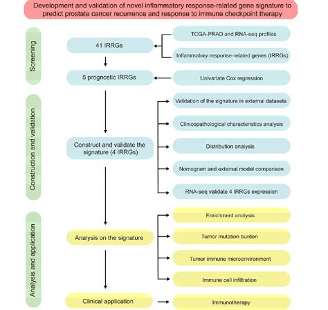 Figure 1 From Development And Validation Of Novel Inflammatory Response Related Gene Signature
