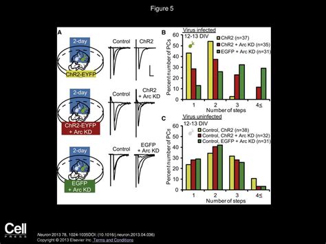 Volume 78 Issue 6 Pages June 2013 Ppt Download
