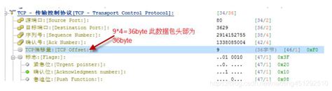Tcpip Tcp头部选项功能详解tcp 选项 Csdn博客