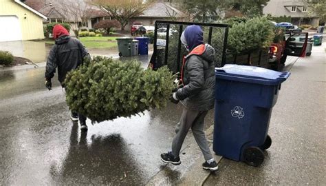 Christmas Tree Removal Hired Muscle Movers Llc