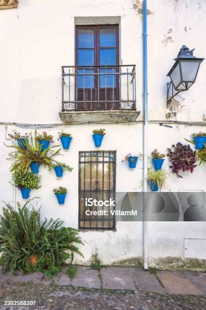 Calleja De Las Flores 스페인 안달루시아에있는 코르도바 시의 인기있는 관광 거리 파란색 화분과 발코니가 있는 매력적인 흰색 건물입니다 0명에 대한 스톡 사진