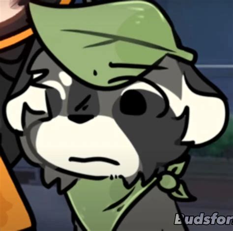 Enzo Official Budsforbuddies Wiki Fandom