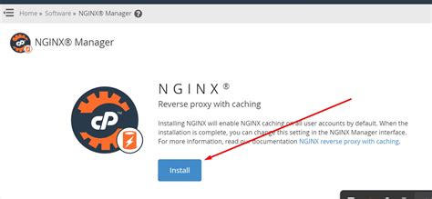 Cara Install Nginx Sebagai Reverse Proxy Di VPS CPanel
