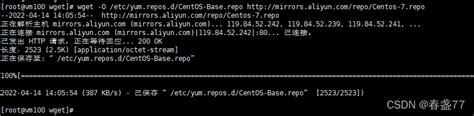 Bash Wget 未找到命令 Csdn博客