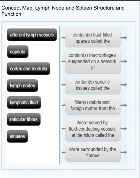 solved using no more than 14 propositions create a concept map to