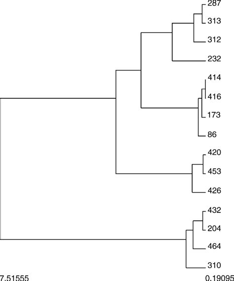 Unsupervised Hierarchical Cluster Analysis HCA On FT IR Data