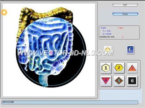 What Is Vector Nls System Analyzer Vector Nls Nls Vector Vector Nls Scan Vector Nls Device 9d Nls