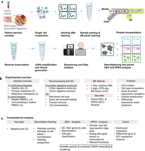 Dynamic Thresholding And Tissue Dissociation Optimization For CITE Seq