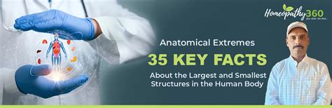 anatomical extremes 35 key facts about the largest and smallest