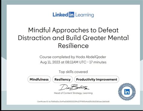 Hoda Abdelqader On Linkedin Cibsummerinternship2023 Linkedinlearning 10 Comments