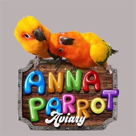 Anna Parrot Aviary Houston Tx