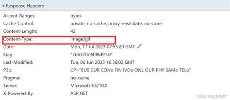【javaweb】知识总结Ⅷ协议 Get请求包 Post请求包 响应包的分析请求包与响应包分析 Csdn博客