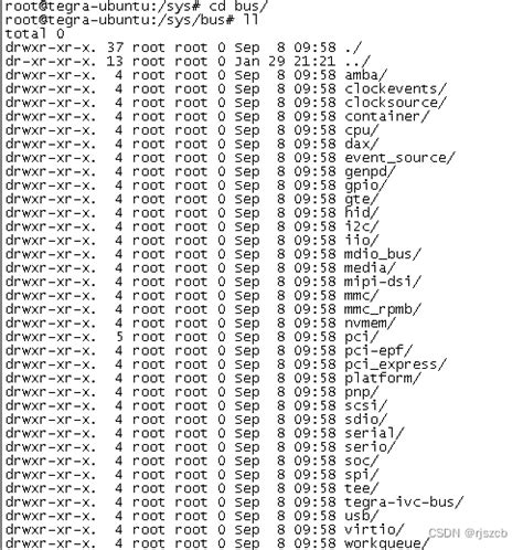 Linux内核，fs，app ，debug调试手段驱动调试 Linux Csdn博客