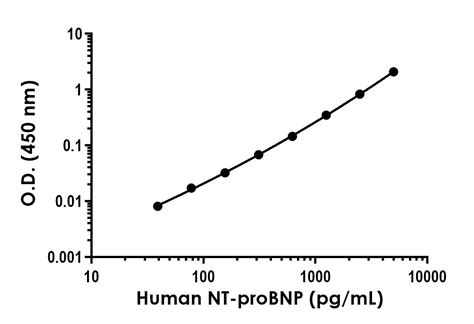 Recombinant Human Nt Probnp Protein Standard His Tag Ab316391 Abcam
