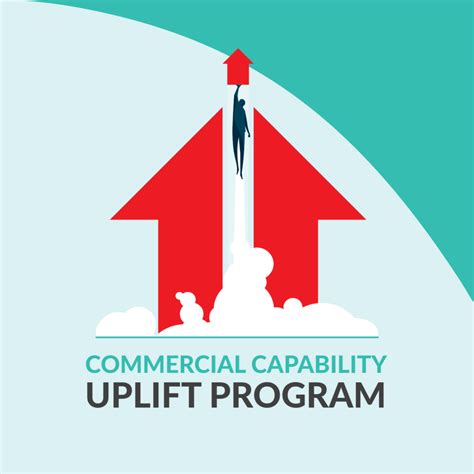 Commercial Capability Uplift Program Pontem Consulting