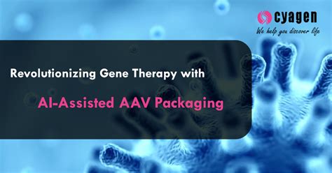 High Quality Adeno Associated Virus Aav Packaging