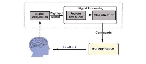 Current Bci Systems Processing And Analysis Of Eeg Signals 13