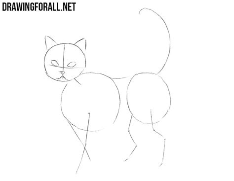 How To Draw A Realistic Cat Step By Step