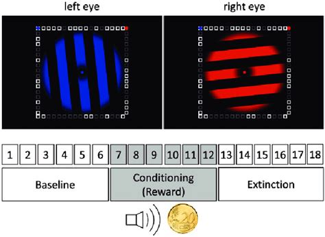 Binocular Rivalry Stimuli And Experimental Design Download Scientific Diagram
